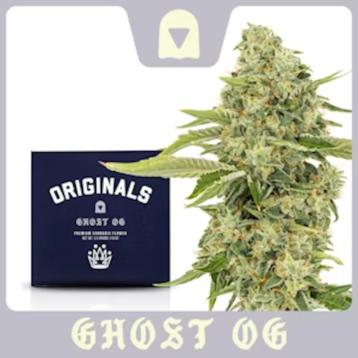 Originals Ghost OG 3.5g 1/8oz Flower | Originals