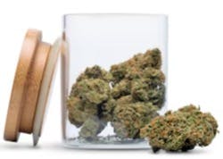 Buy Platinum Reserve Hawaiian Runtz | Flower Online - Strain Stars ...