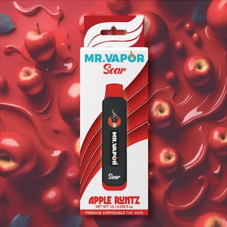 Mr. Vapor Soar Disposable | Apple Runtz