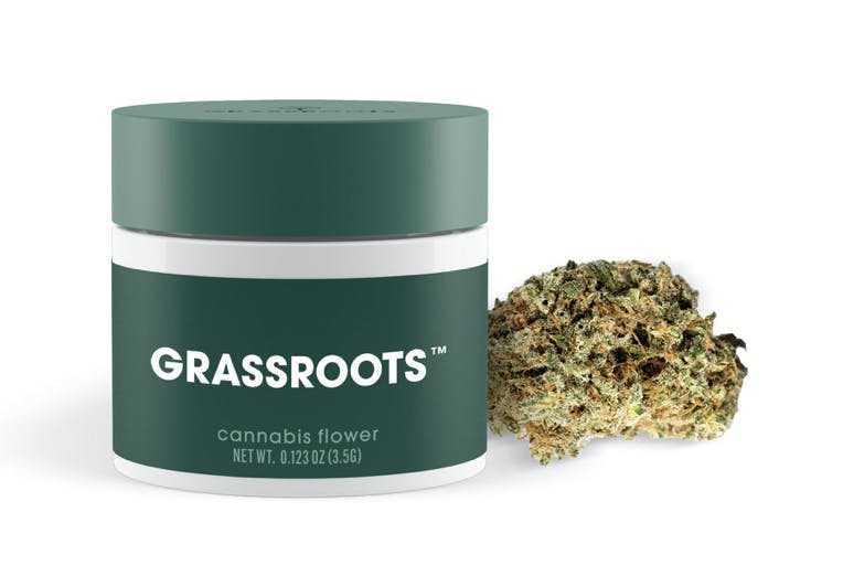 The Flowery NY | Venom Fizz Flower