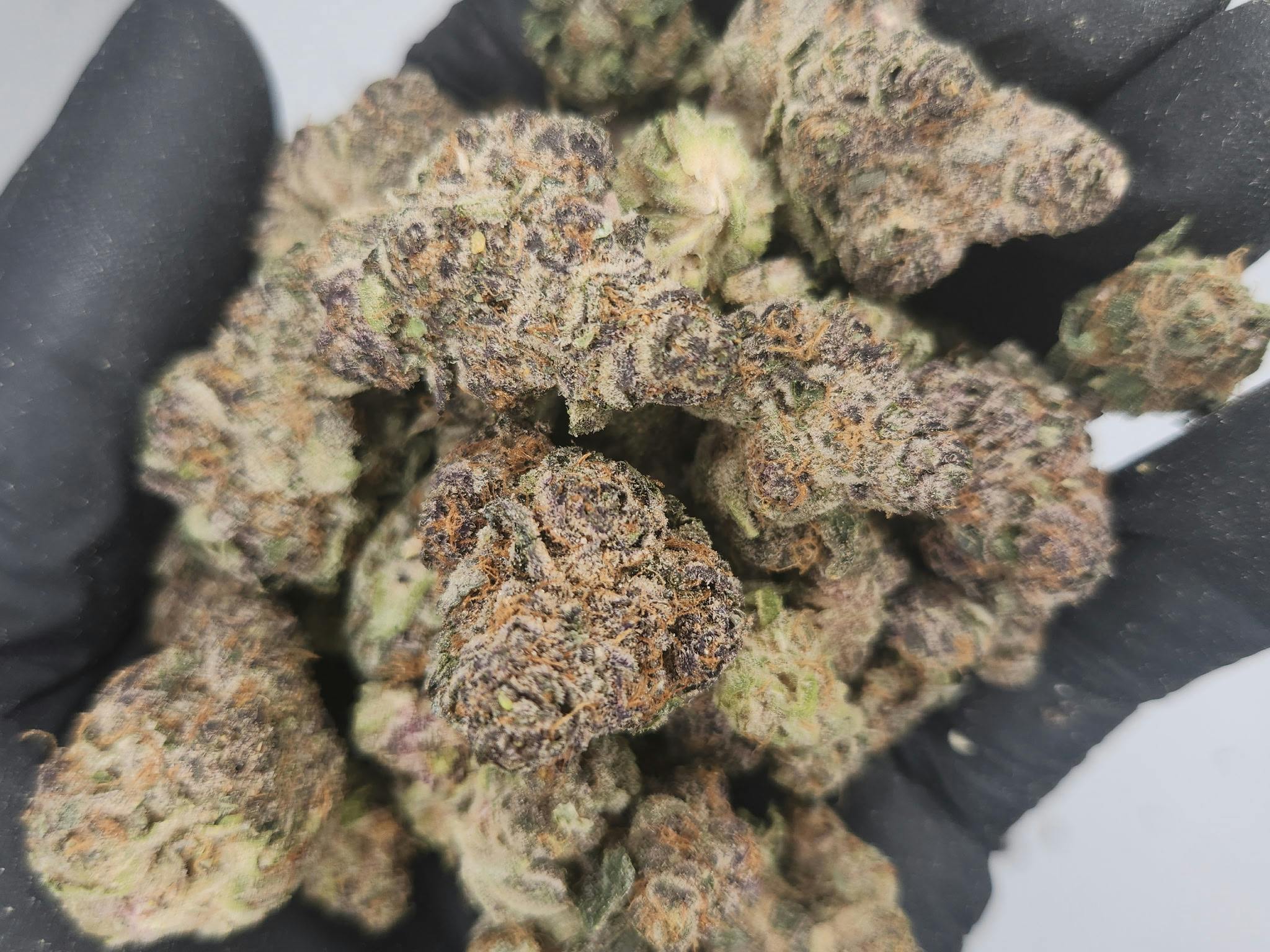 Cloud Farms | Bulk Bud - Blockberry | Flower | The Ouid Shop