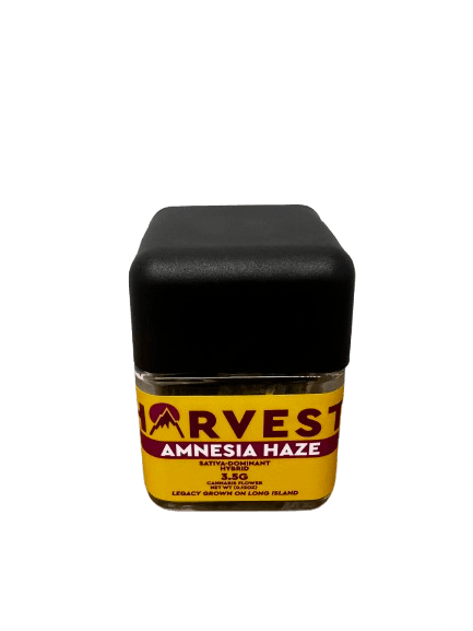Amnesia Haze | Flower | 3.5g by Harvest | Buy Online | Treehouse Cannabis