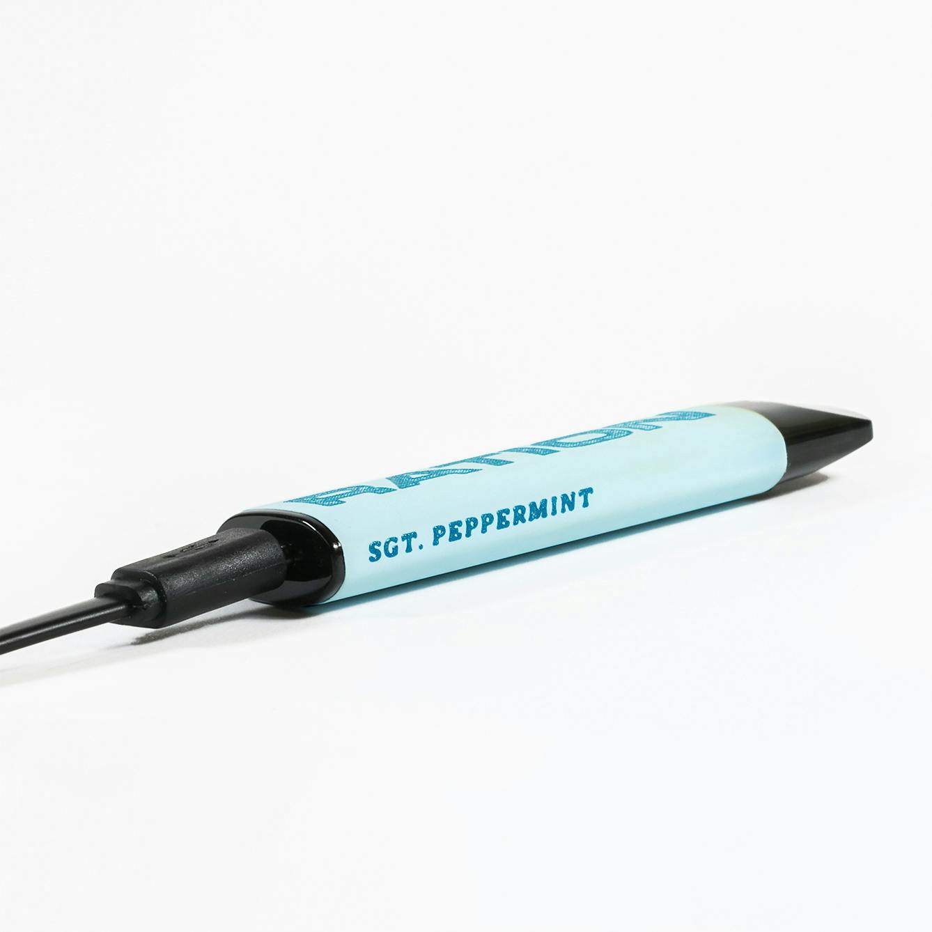 Ration Palate Provisions Disposable Vape SGT. Peppermint – Cheech ...