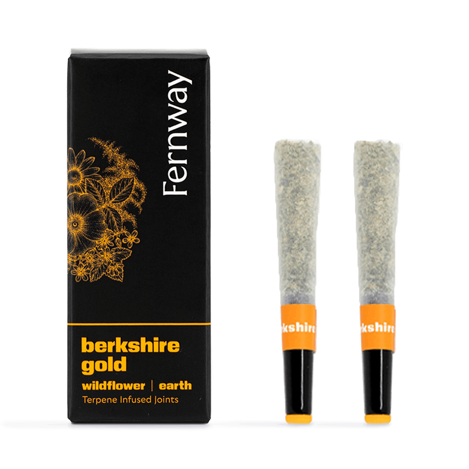Fernway: The #1 Selling Vape in Massachusetts