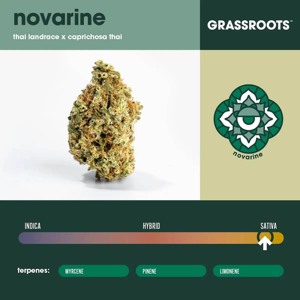 Novarine (S) [2.83g] 2.83g Flower | Grassroots