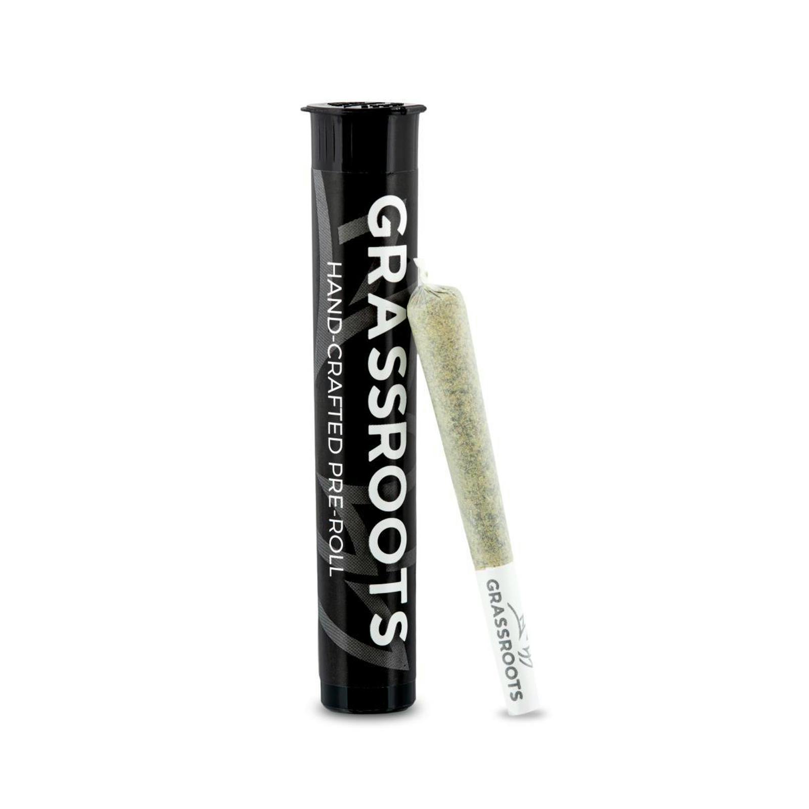 Garlic Cookies Pre-Roll | 1g