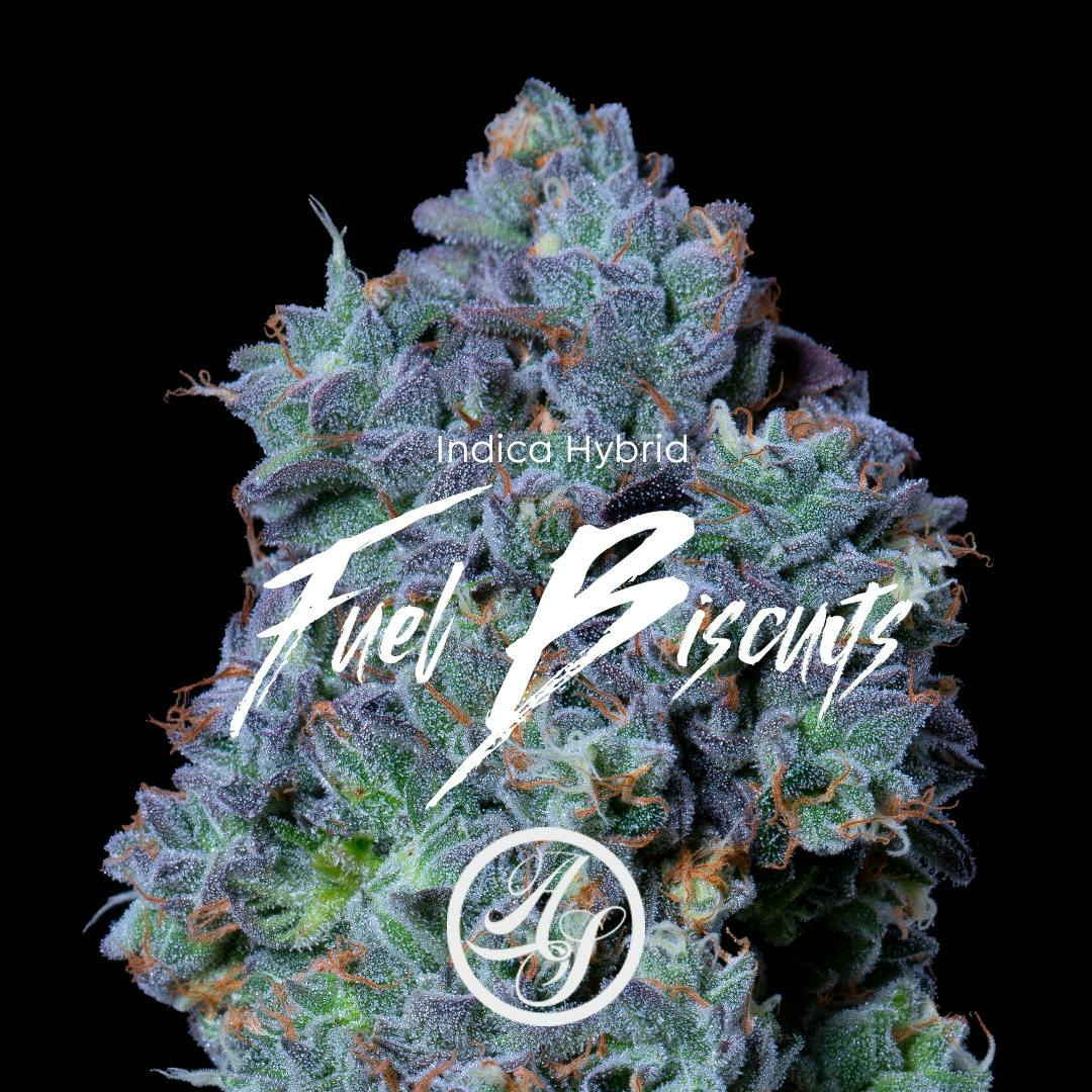 Shop Alternative Solutions Alt Sol | Fuel Biscuits | Pre-Packaged ...