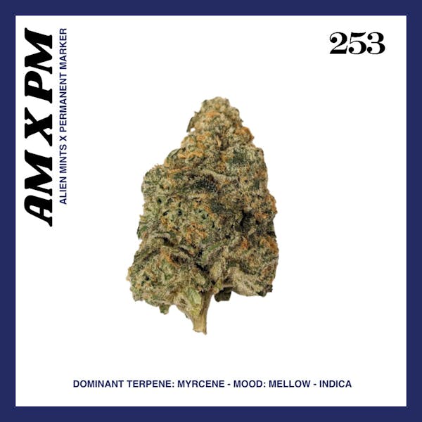 Springfield, MA Recreational Dispensary