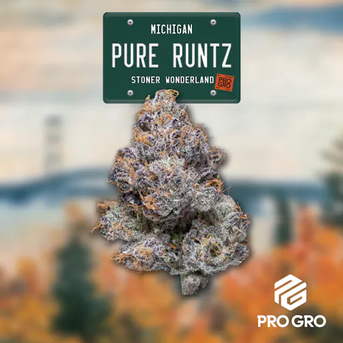 Pure Runtz Deli • Pure Options