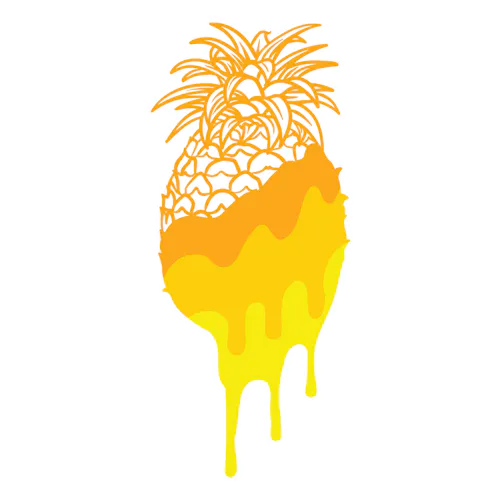 Shop Wonderbrett | Flower | Pineapple OG | 3.5g In New Jersey | HASHERY