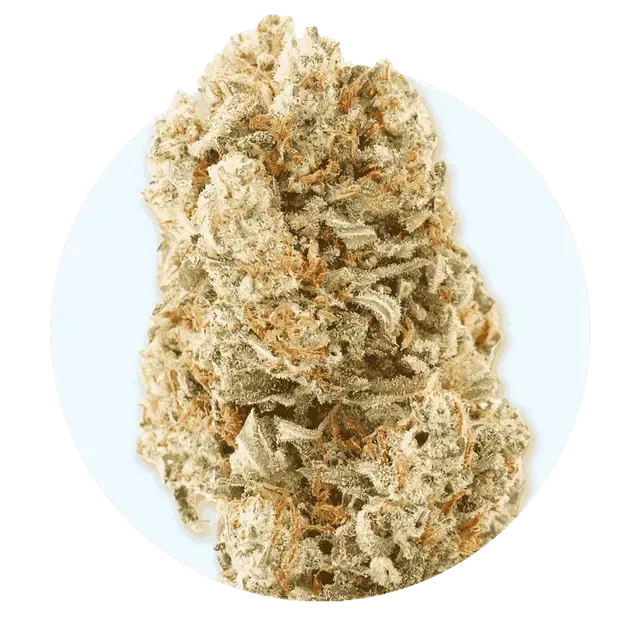 Pre-Rolls