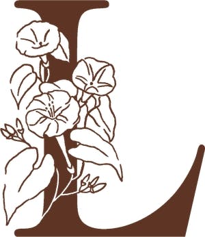 Fire OG | Flower | 28G by LEAL | Buy Online | Treehouse Cannabis ...