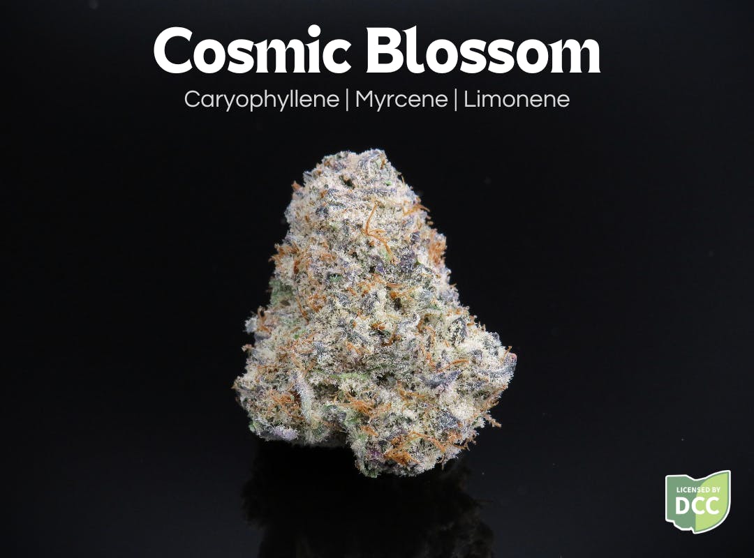 Shop Farkas Farms Cosmic Blossom in Delaware | Pollen Dispensary
