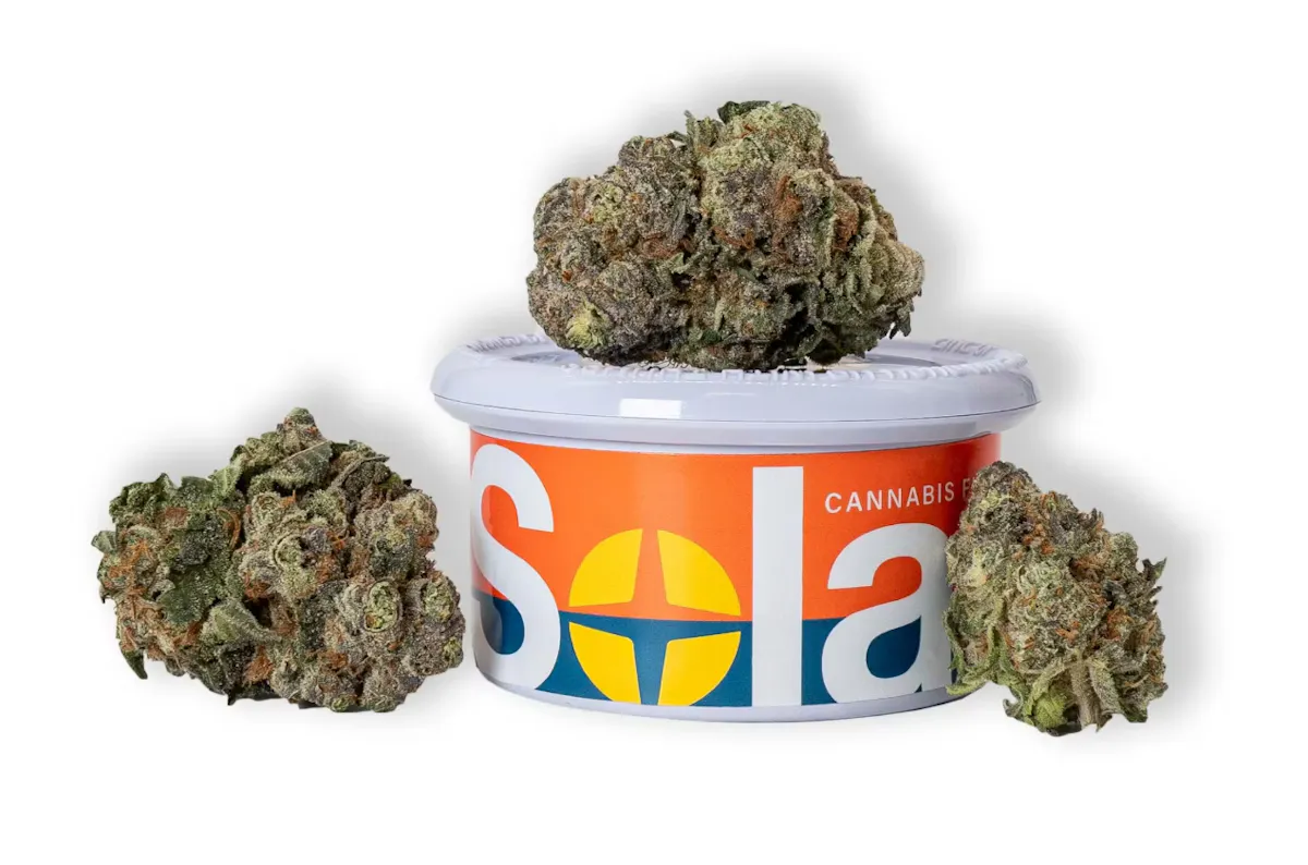 Solar Cannabis Co. Wedding Cake 3.5g 1/8oz Flower