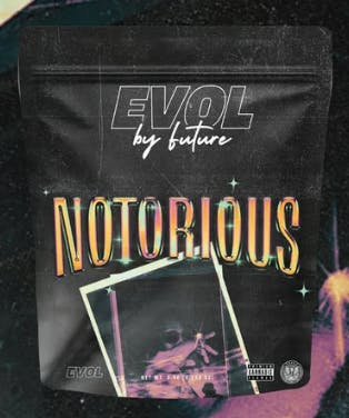 Shop EVOL Notorious #1 in Chicago | COOKIES CHICAGO