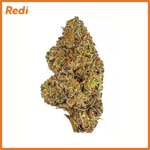 Sparq Pink Runtz for Sale - Redi Dispensary Newton Natick