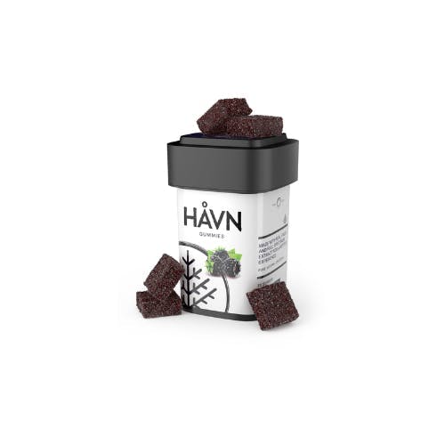 Blackberry 2:1 (THC:CBN) - 100mg Gummies - Havn Extracts | Bloom Brothers