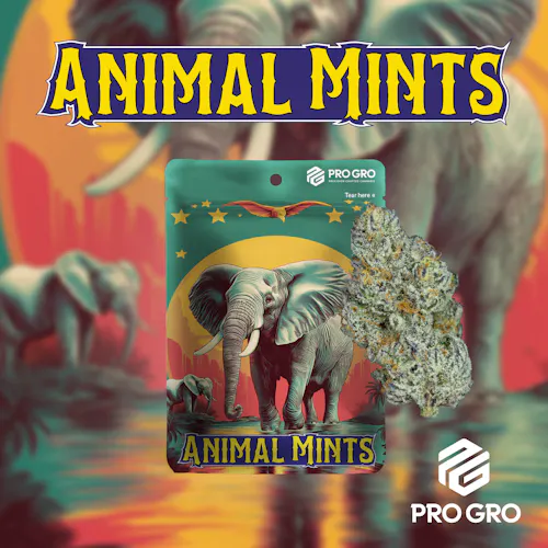 Animal Mints 3.5g Flower • Pure Options