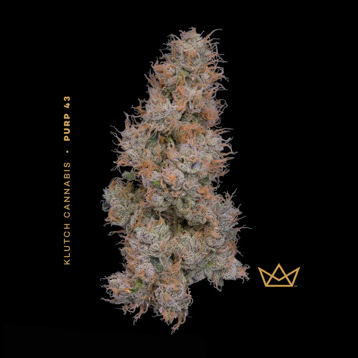 Purp 43 | 14.15g Flower | Klutch