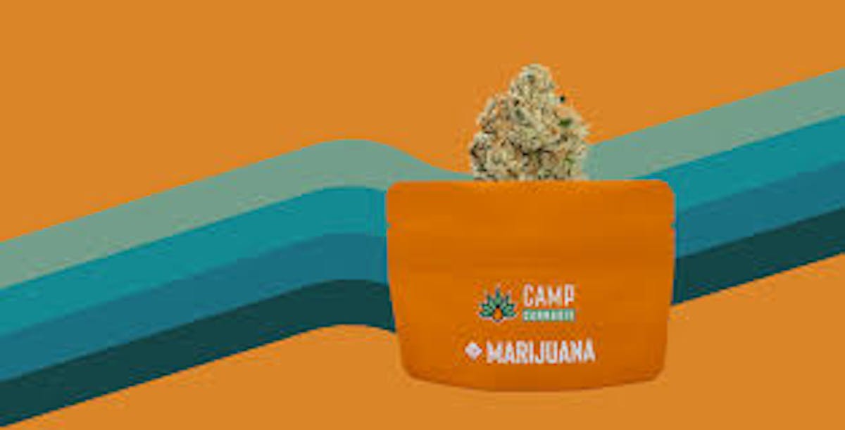 Papaya Ice Cream Cake | 3.5g 1/8oz Flower | CAMP Cannabis