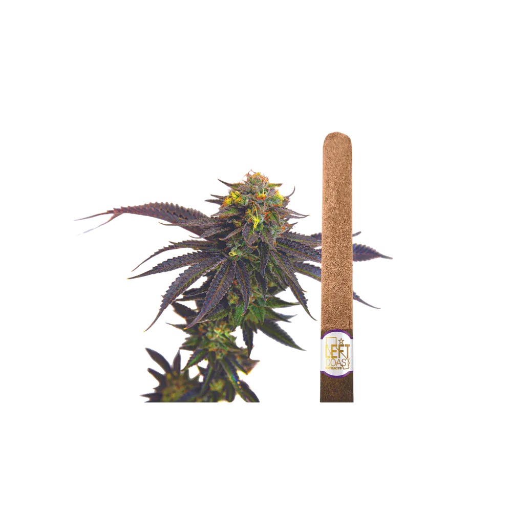 Left Coast Left Coast - Grape Cookie - 2g Infused Blunts | Schenectady ...