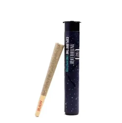 Blue Dream Anthologie – Dazed | Cannabis Dispensary,