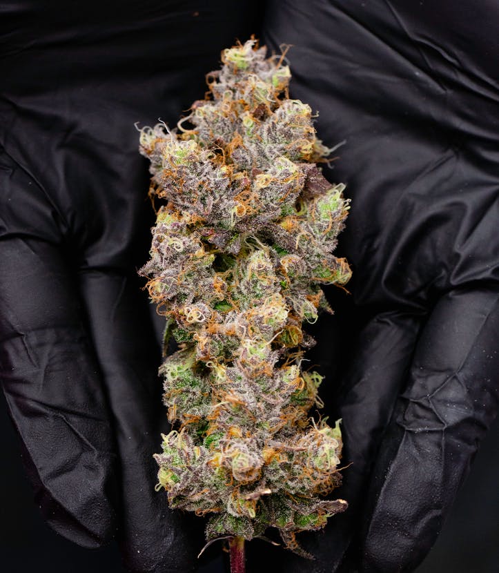 The Flowery NY | Secret Weapon x Blueberry Frost 3.5g
