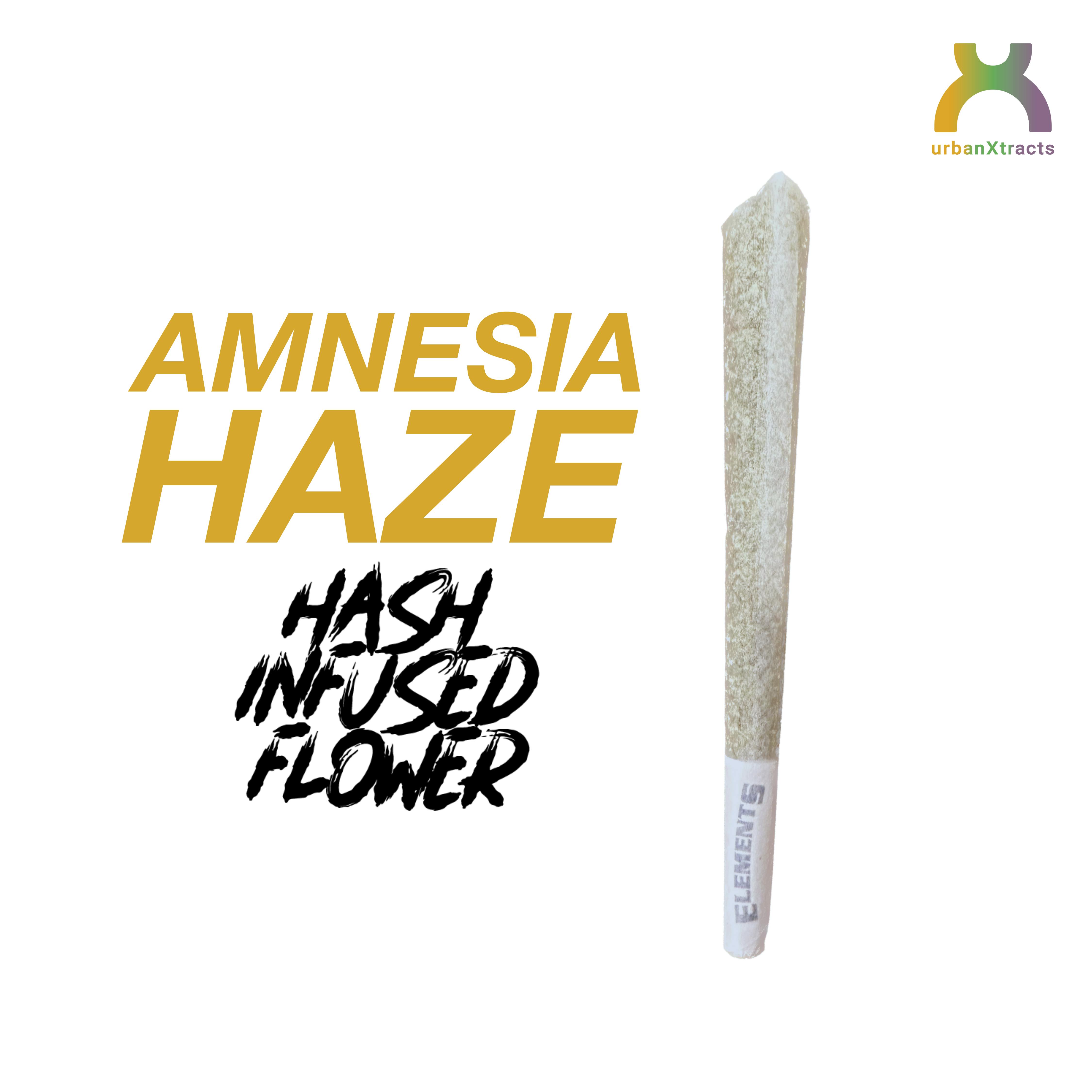 Amnesia Haze Hash Infused Pre-Roll • 1g by | Buy Online | Treehouse ...