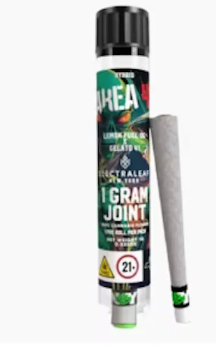 Area 41 – – Pre-roll- Electraleaf – Dazed | Cannabis Dispensary,