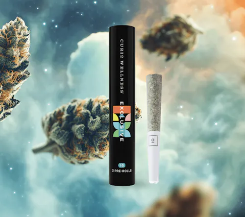 1 in MD Curio Exclusive - Grapecicle Pre-Rolls (2x.5g) | Far & Dotter