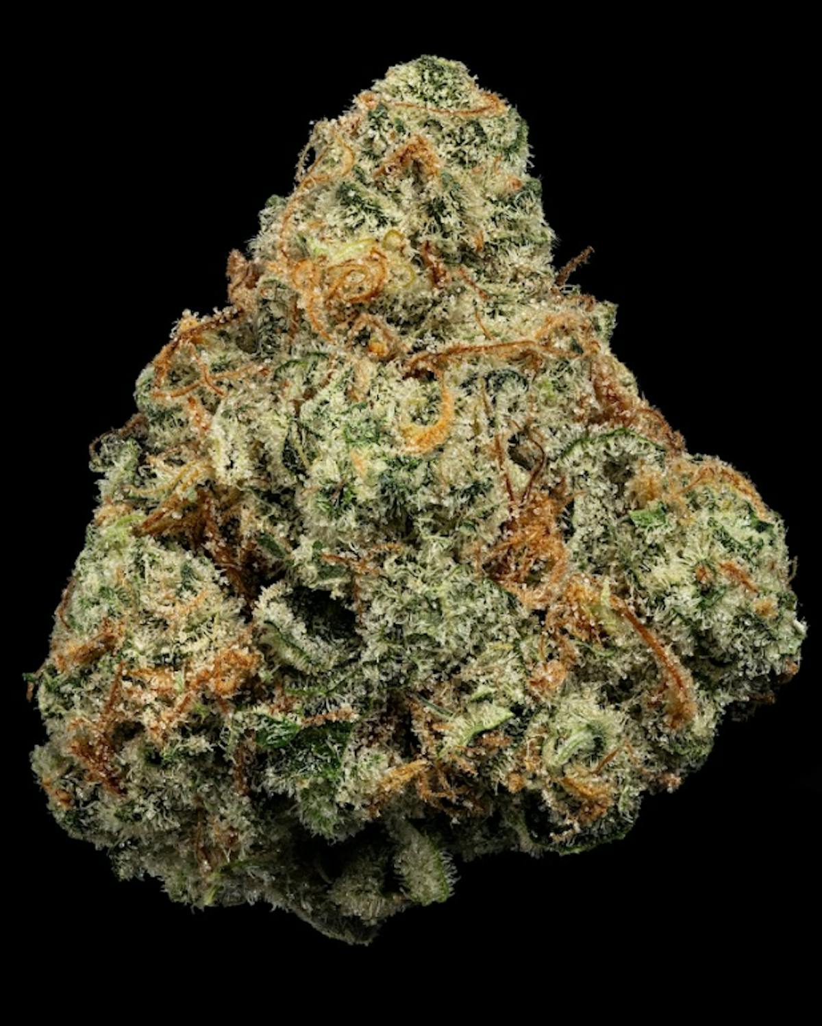 Brown Bag Where’s My Bike 3.5g Popcorn 1/8oz Flower | Brown Bag