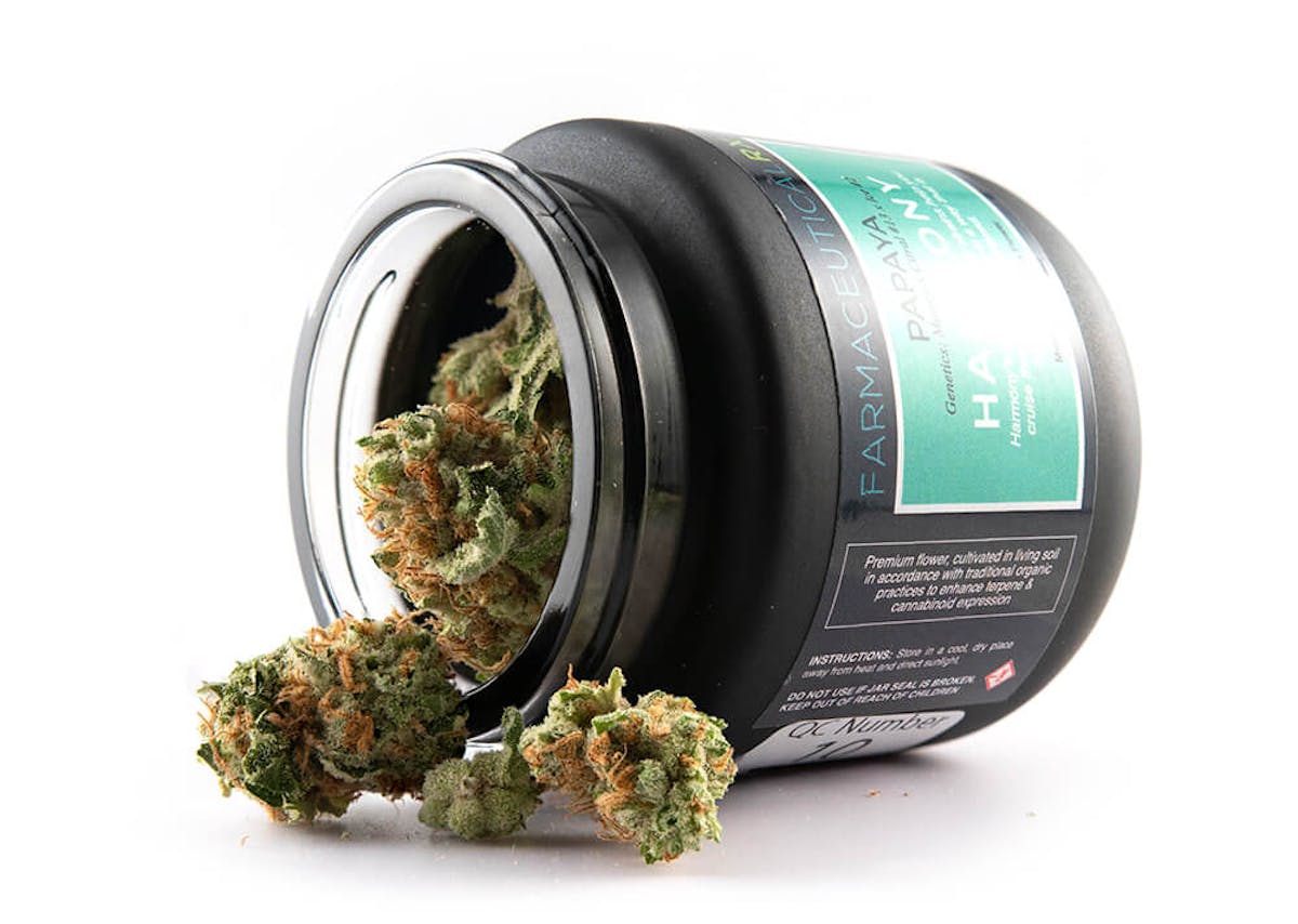 Layer Cake Mini Buds | 14.15g 14.15g Flower | FarmaceuticalRX