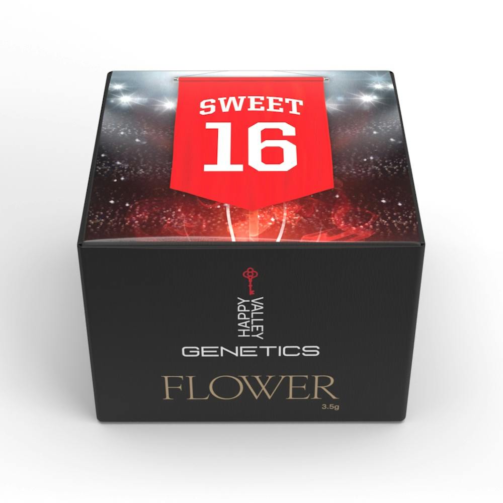 Sweet 16 (Classic) Strain | Gloucester, MA | Happy Valley