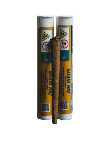 Gelato Fire Blunt - Breakfast Connections | Treehouse Cannabis