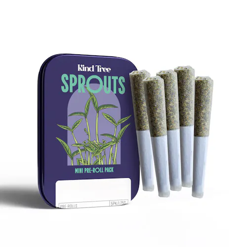 Shop Kind Tree | Pre-Roll Pack | Cherry Slushee | 5pk/1.75g In New ...