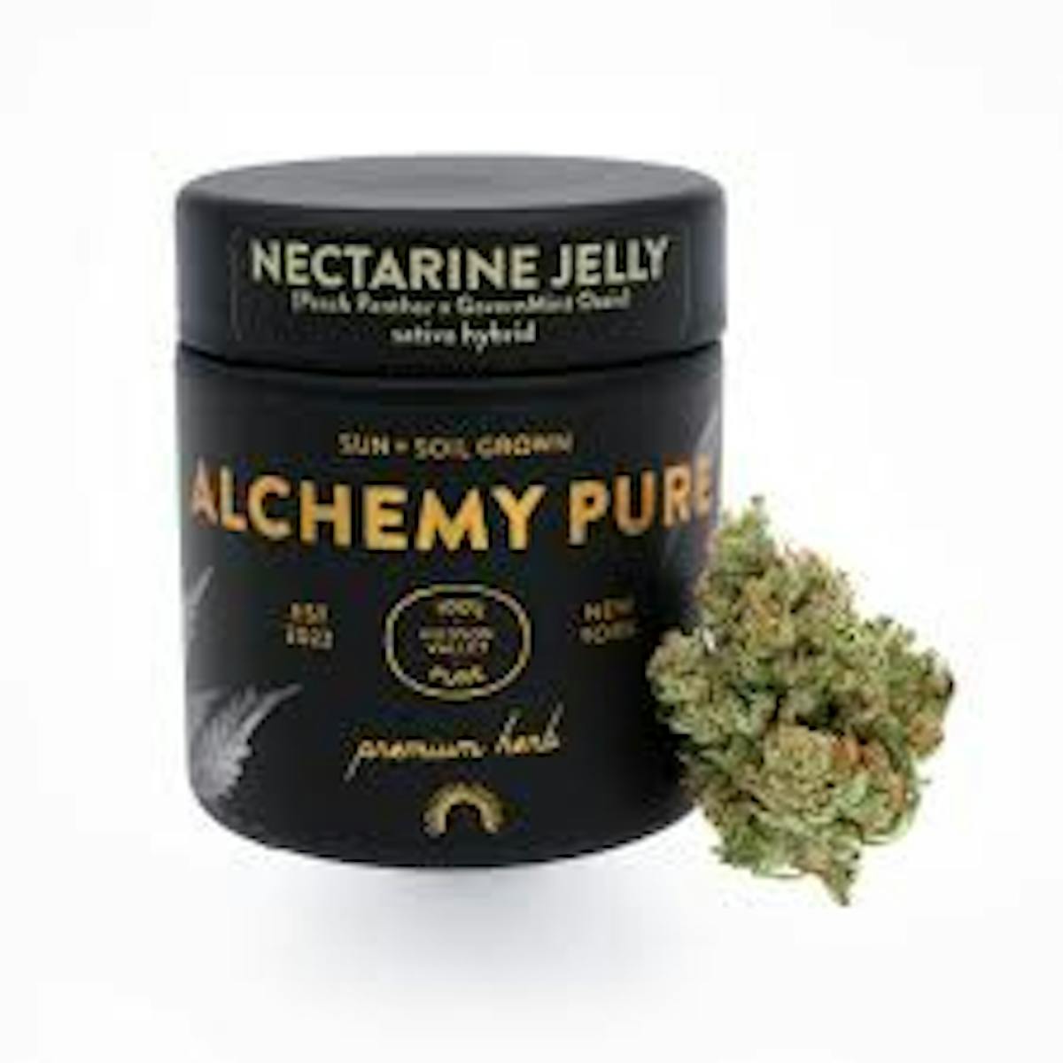 Buy Alchemy Pure Nectarine Jelly 3.5g Online | FREE Delivery Available
