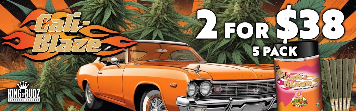 Buy KOB - 1g Preroll - Orions Belt Pre rolls Cannabis | Ferndale, Michigan