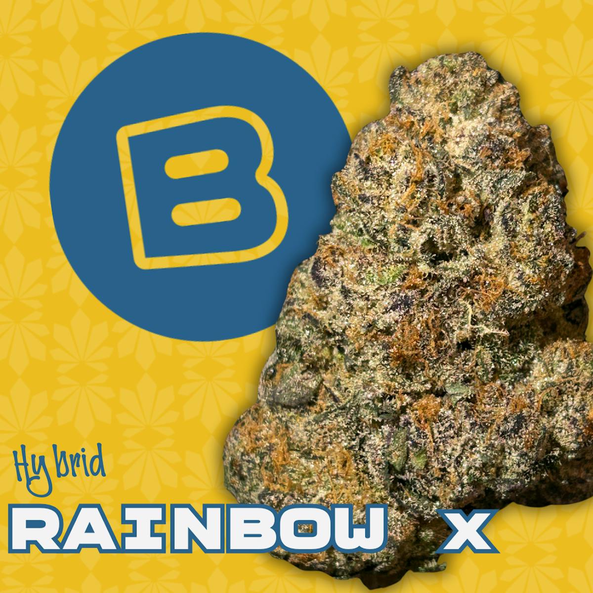 Rainbow X Small Buds 14.15g Flower | Buckeye