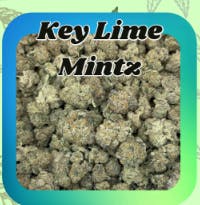 Key Lime Mintz | Ragged Wizard | Flower | Bloom City