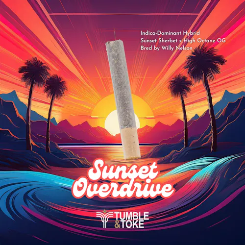 Sunset Overdrive | Pre-Roll Cannon | 1g | By Tumble & Toke - CNA Stores