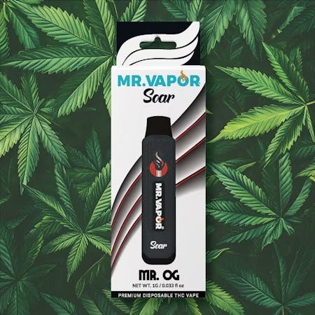 Mr. Vapor Soar Disposable | Mr. OG