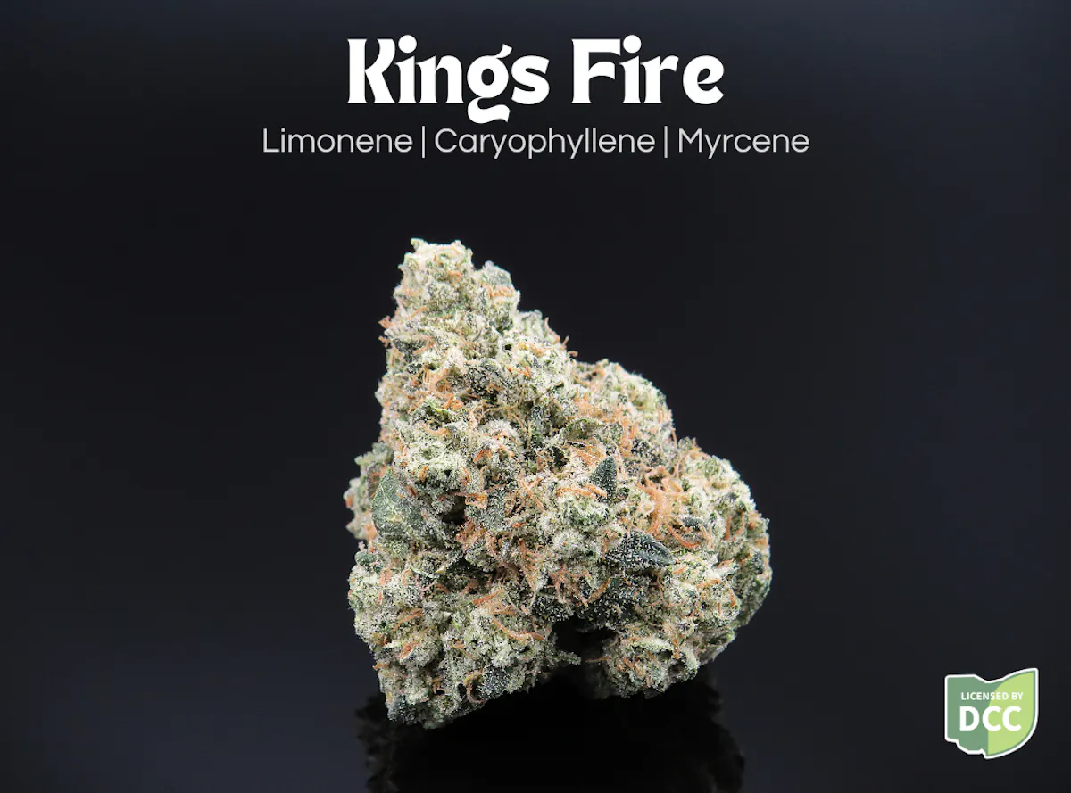 Kings Fire 2.83g Flower | Farkas Farms