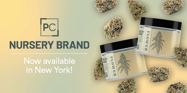 Featured Specials - ZenZest