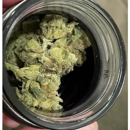 6 Point Reace Runtz 3.5g Jar | Electric City Cannabis Co.