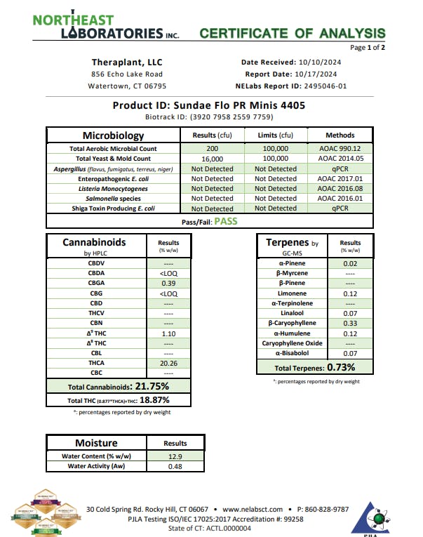 Sundae Flo PR Minis 4405 | Curaleaf