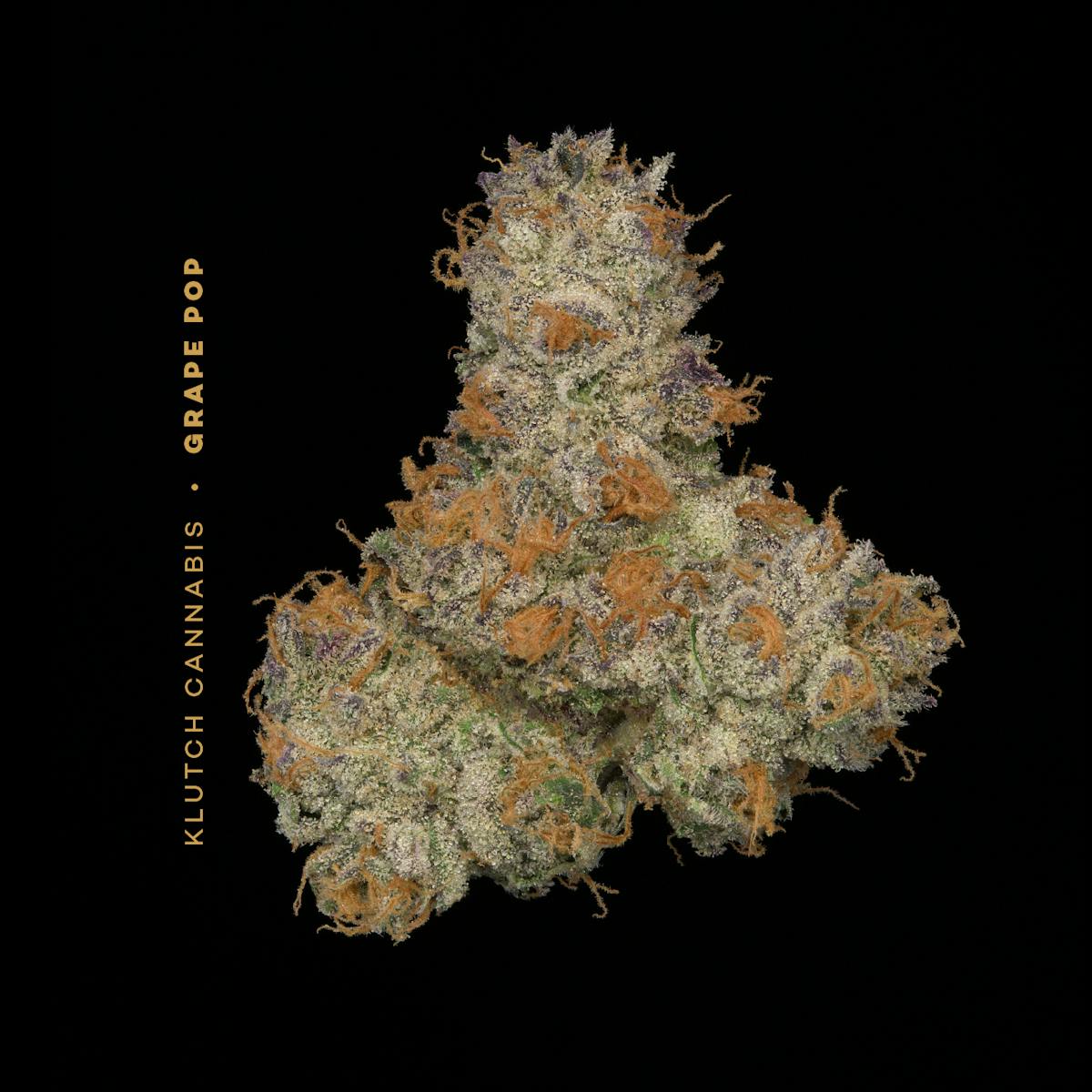 Grape Pop | 14.15g Flower | Klutch