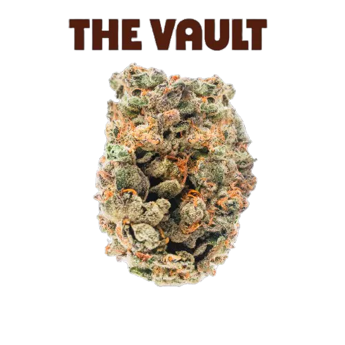 Shop The Vault | Pre-Roll | Kashmir Kush | 1g In New Jersey | HASHERY
