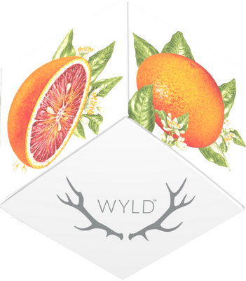 Shop Wyld Blood Orange 1:1 CBC:THC - 100mg - 10ct in Somerville | Cookies Somerville