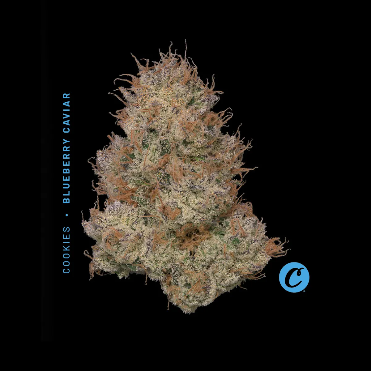 Blueberry Caviar | 2.83g Flower | Cookies