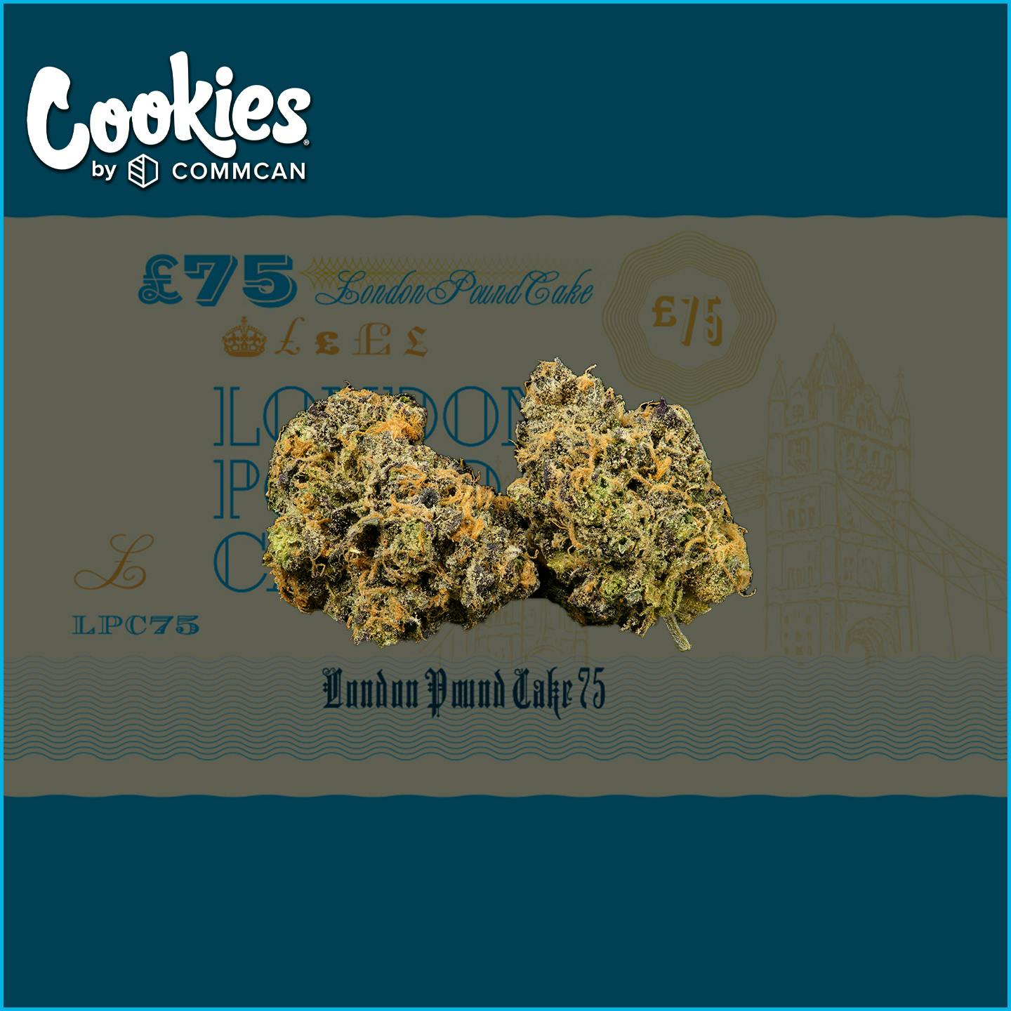 Cookies London Pound Cake #75 I 1/8oz Flower
